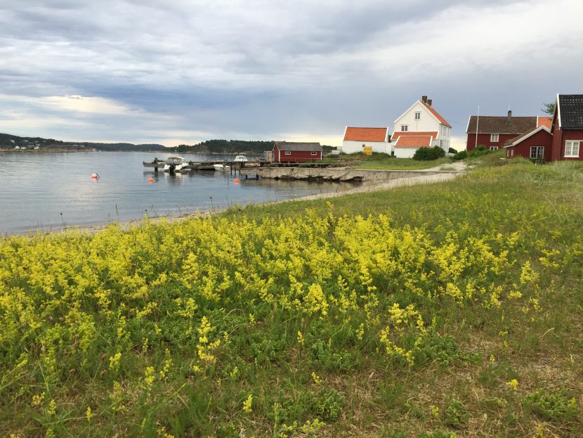 Merdø vannverk – Merdø vel